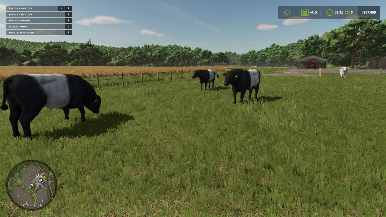 Animal pack - More Cattle Breeds Edition - Farming simulator 25 mod